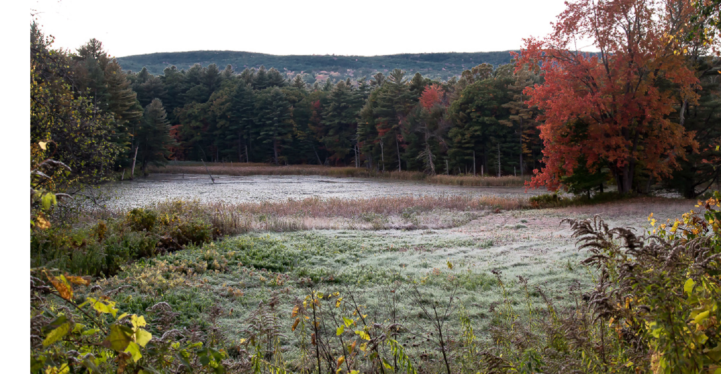 Careers - Foresight Land Services, Inc.